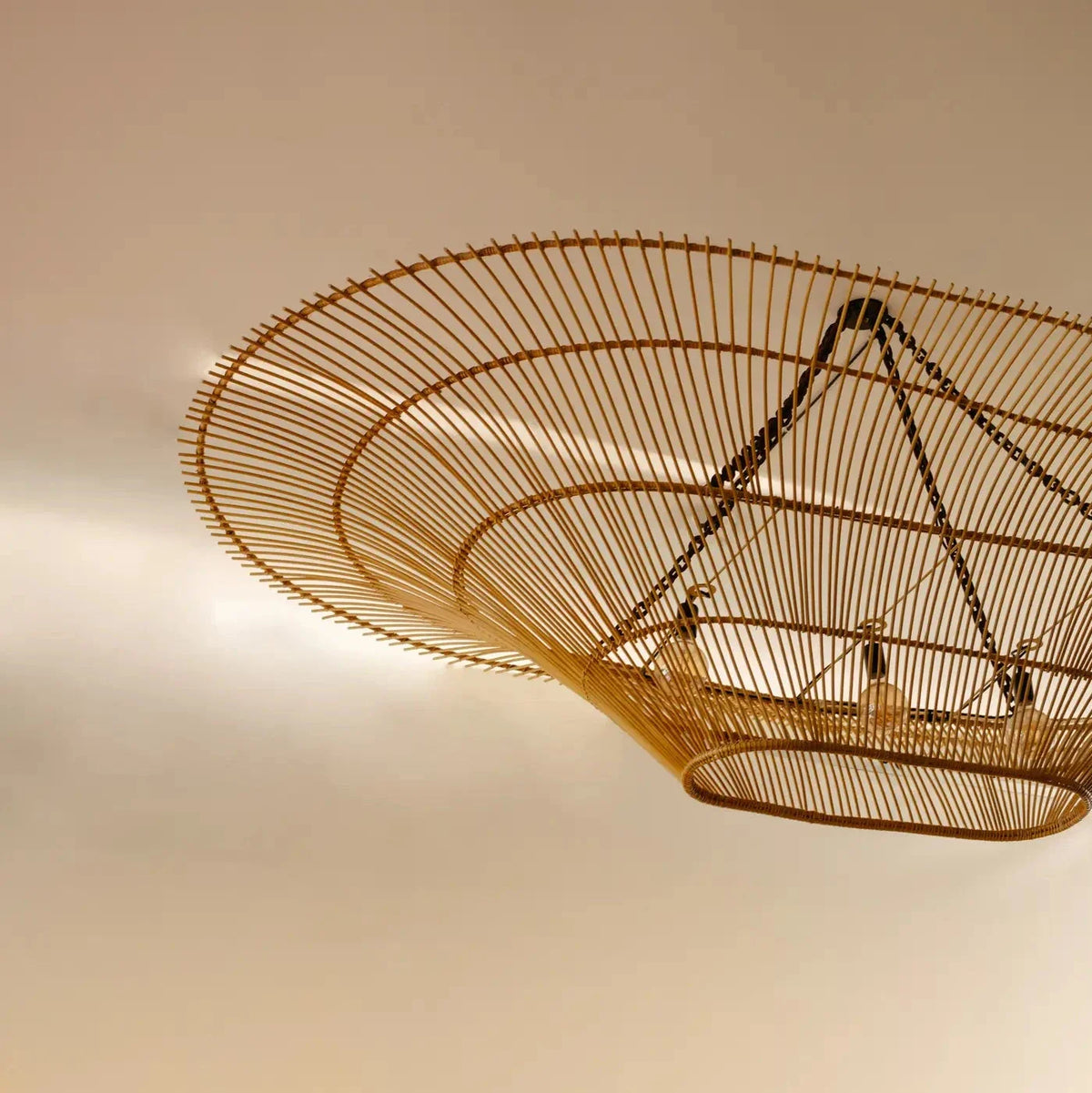 Lights – Cane Cult