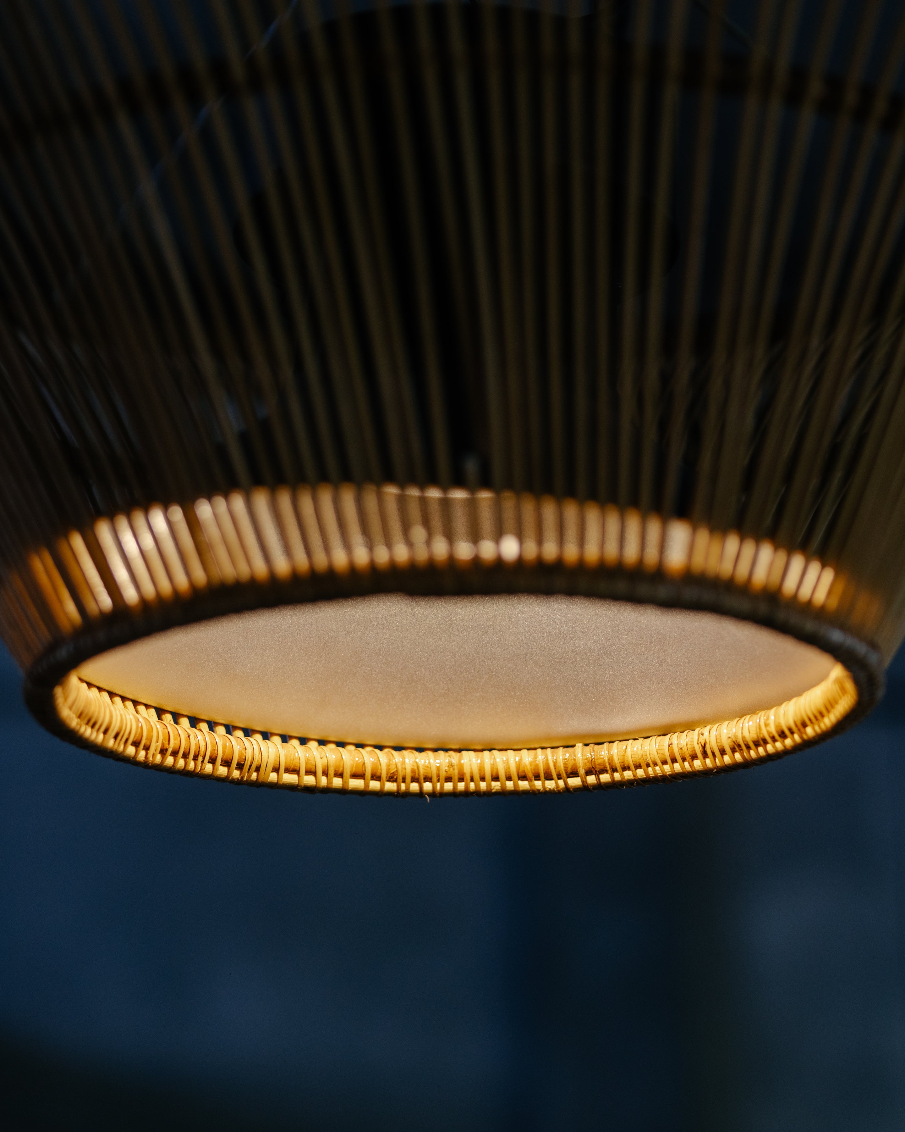 Consultation – Cane Cult