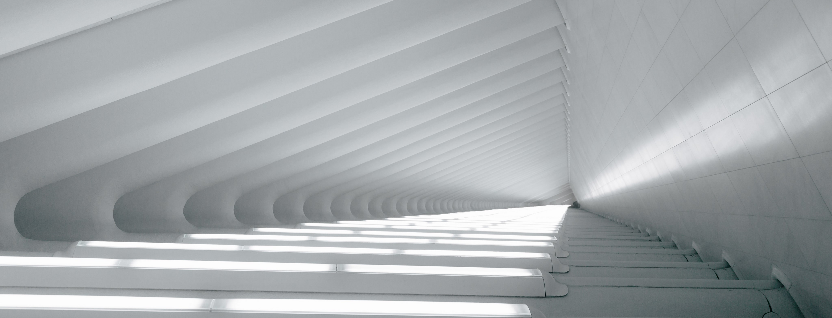 Design Team – Cane Cult